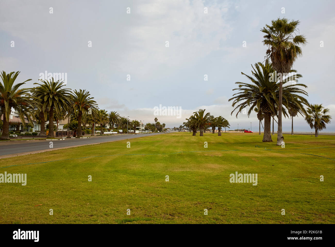 Bay with palm trees hi-res stock photography and images - Alamy