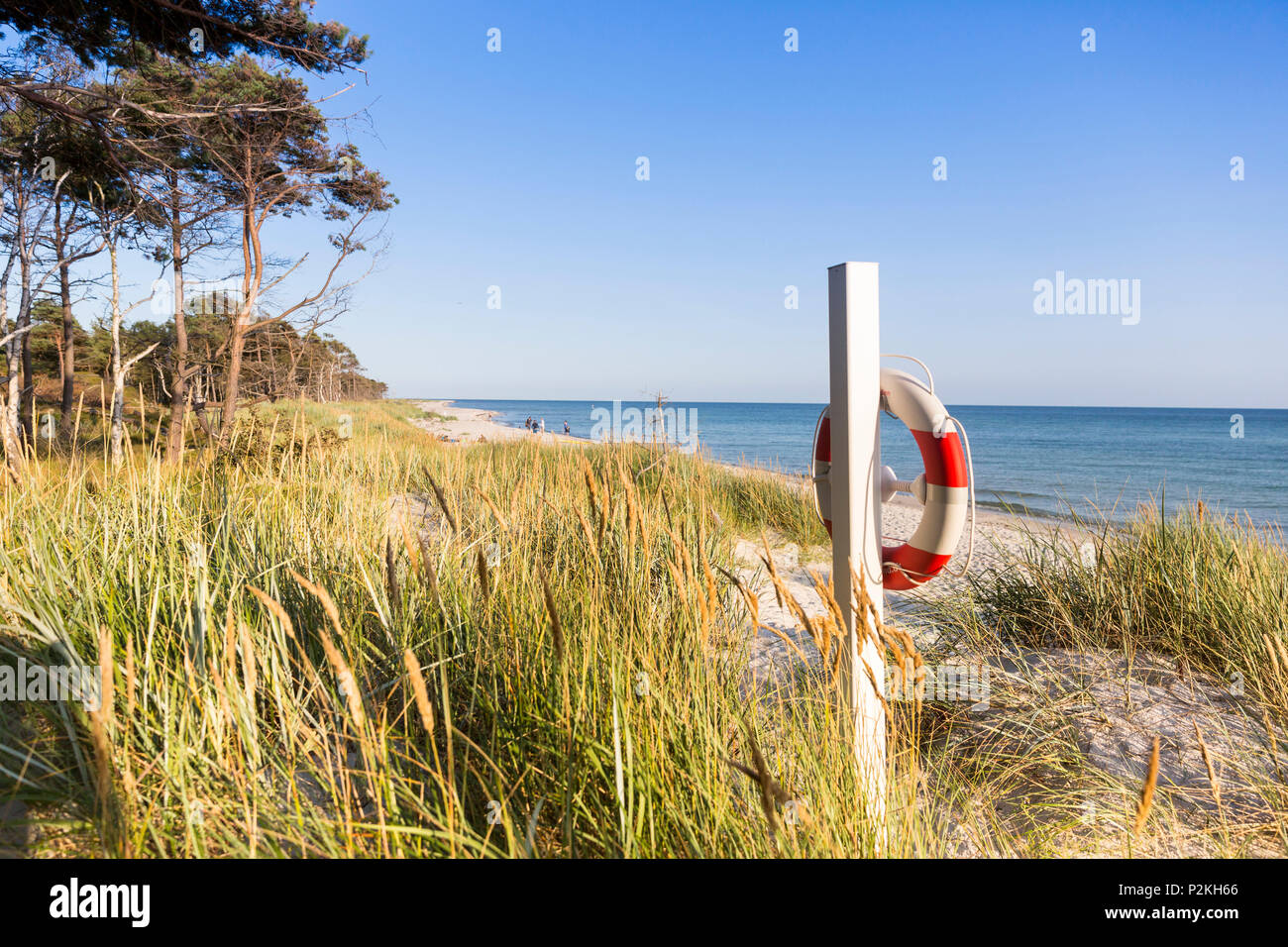Life buoy, near the beach, dream beach between Strandmarken und Dueodde ...