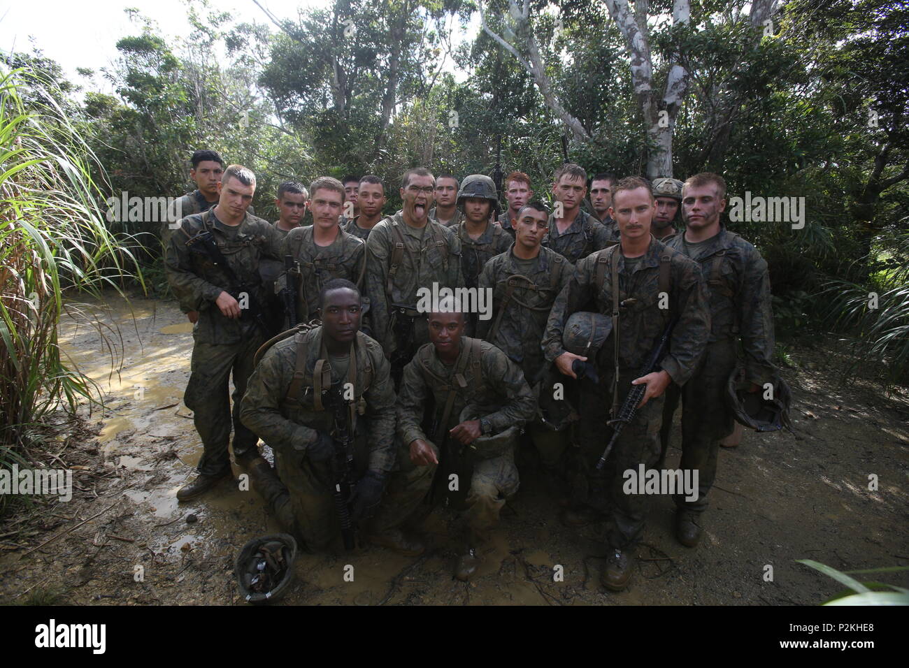 U.S. Marines with 3rd Battalion, 2nd Marines participate in jungle ...