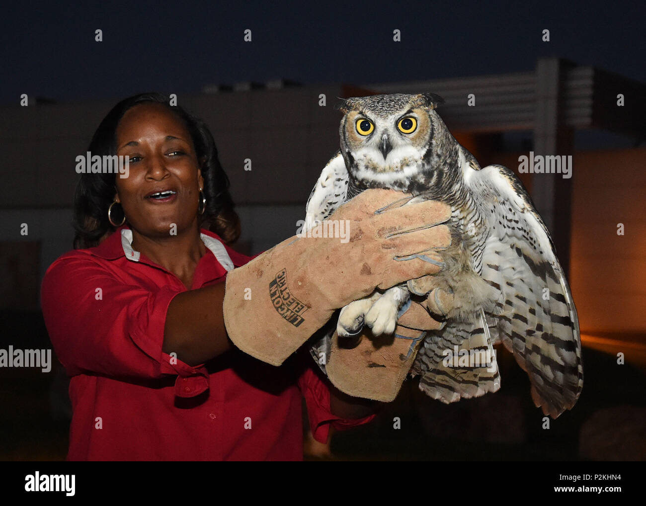 50th civil engineer squadron hi-res stock photography and images - Alamy
