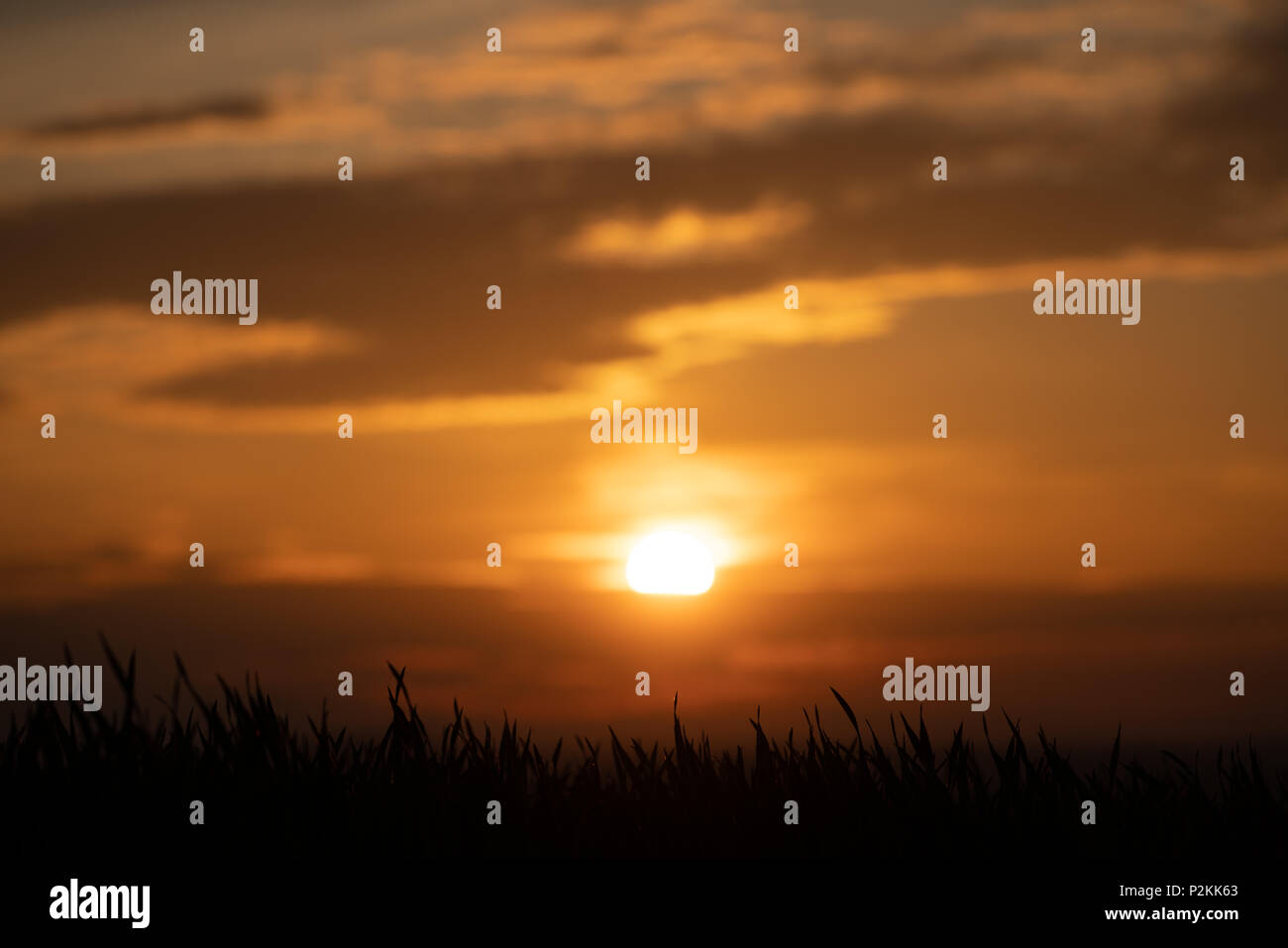 sunset sky with big sun Stock Photo - Alamy