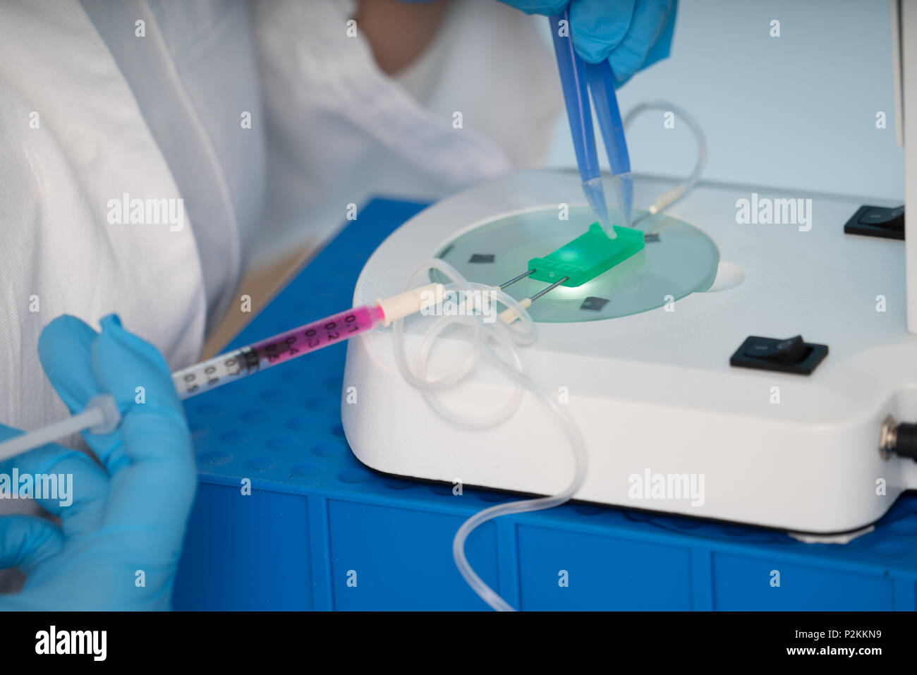 technician girl with microfluidic device LOC in microbiological lab ...