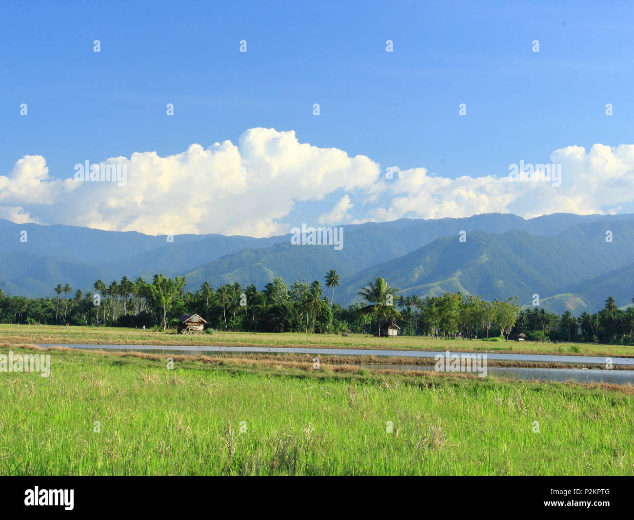earthquake and liquefaction natural disasters Stock Photo - Alamy