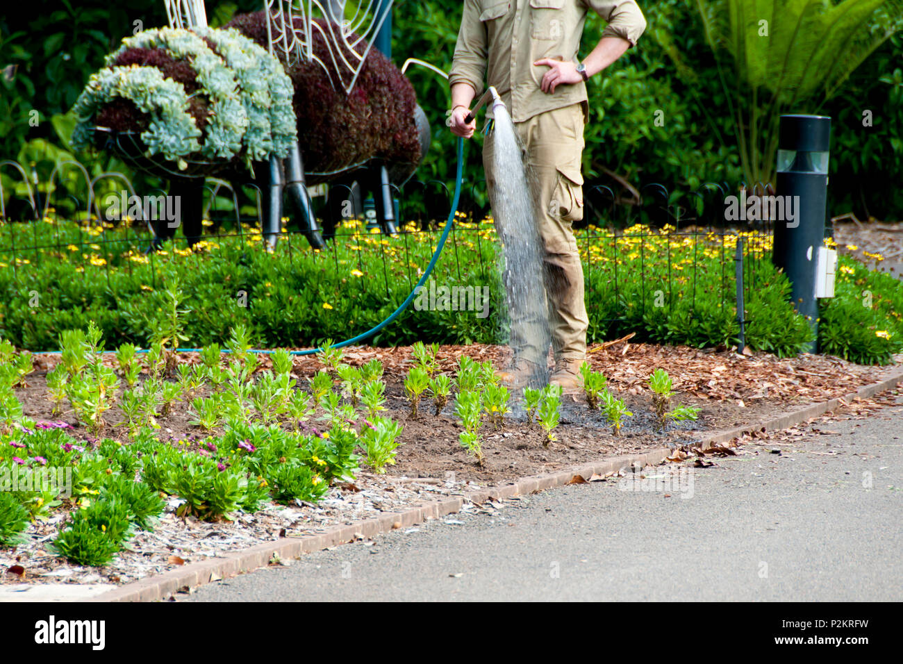 Gardening and Landscaping Stock Photo - Alamy