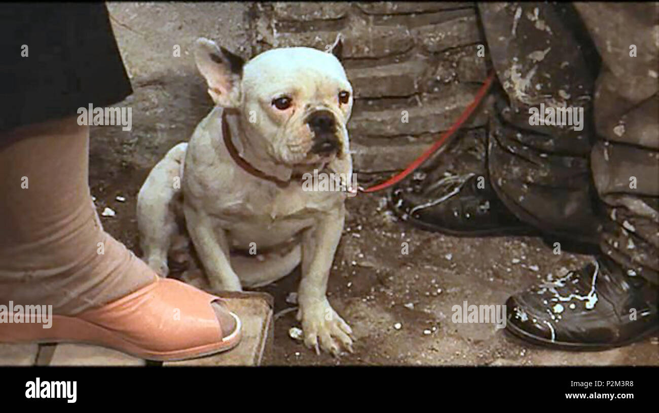 . Screenshot del film Trastevere (1971) di Fausto Tozzi . 14 November ...