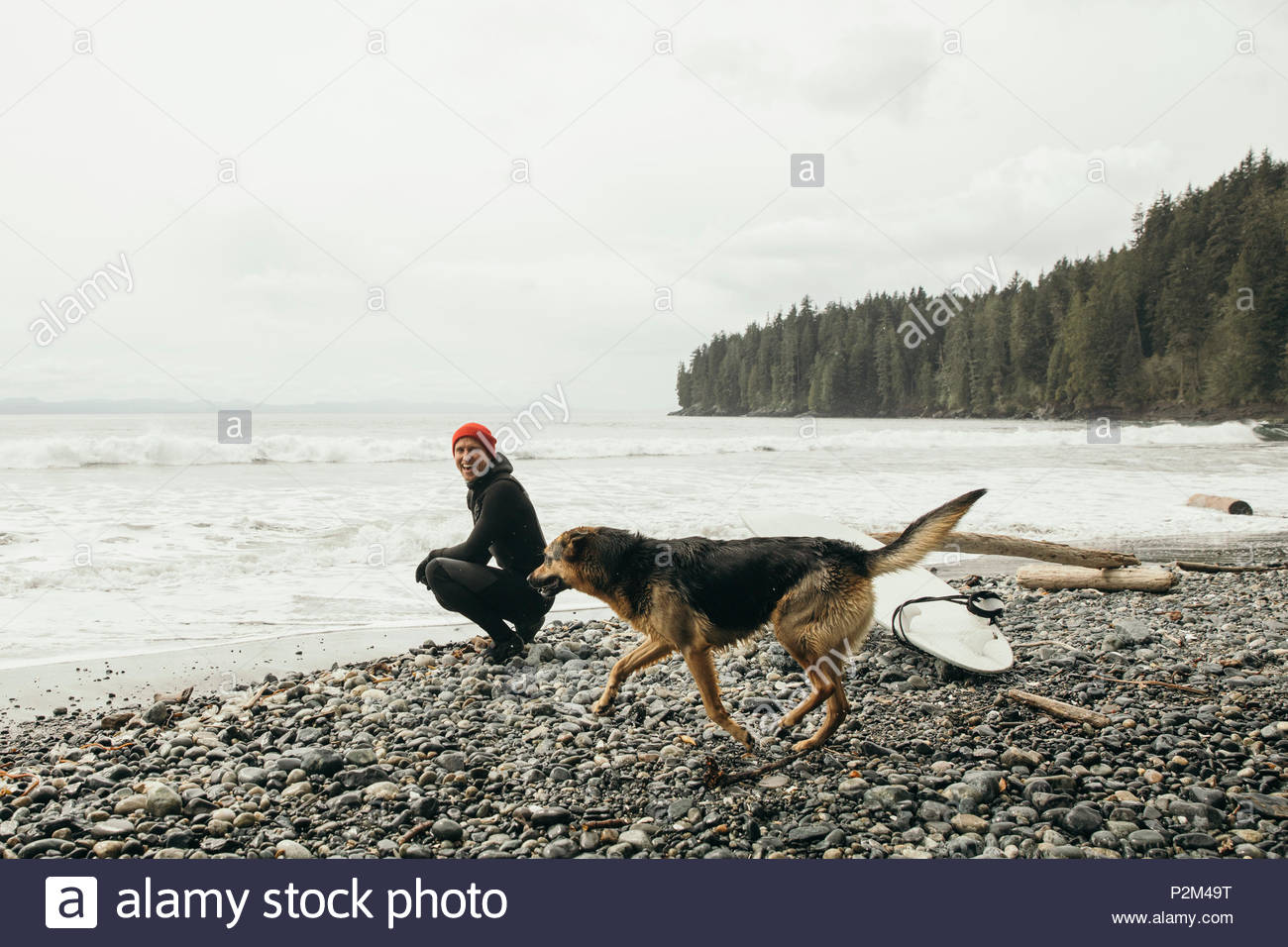 Dog running away from man hi-res stock photography and images - Alamy