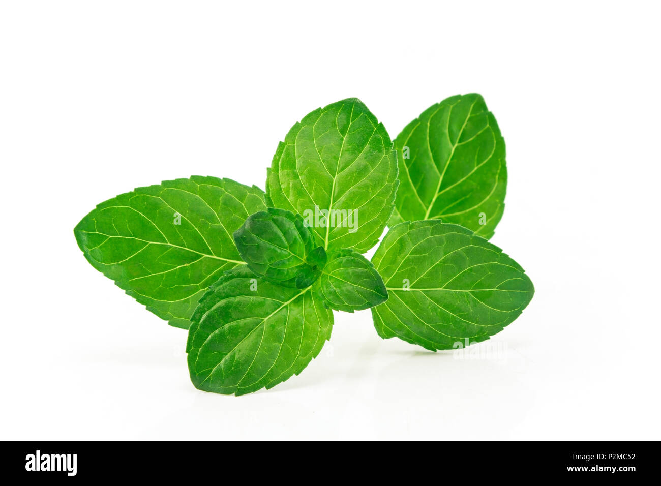 Fresh Mint Isolated on White Stock Photo - Alamy