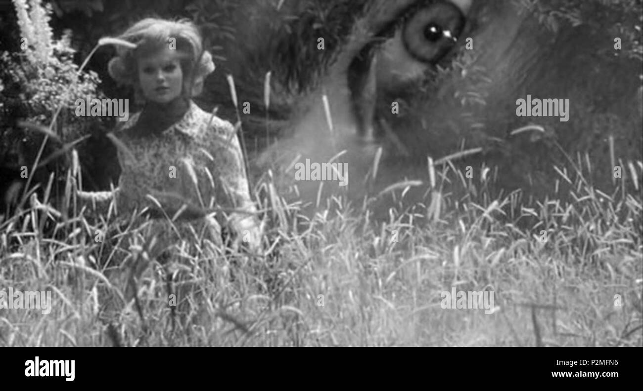 Film cult Black and White Stock Photos & Images - Alamy