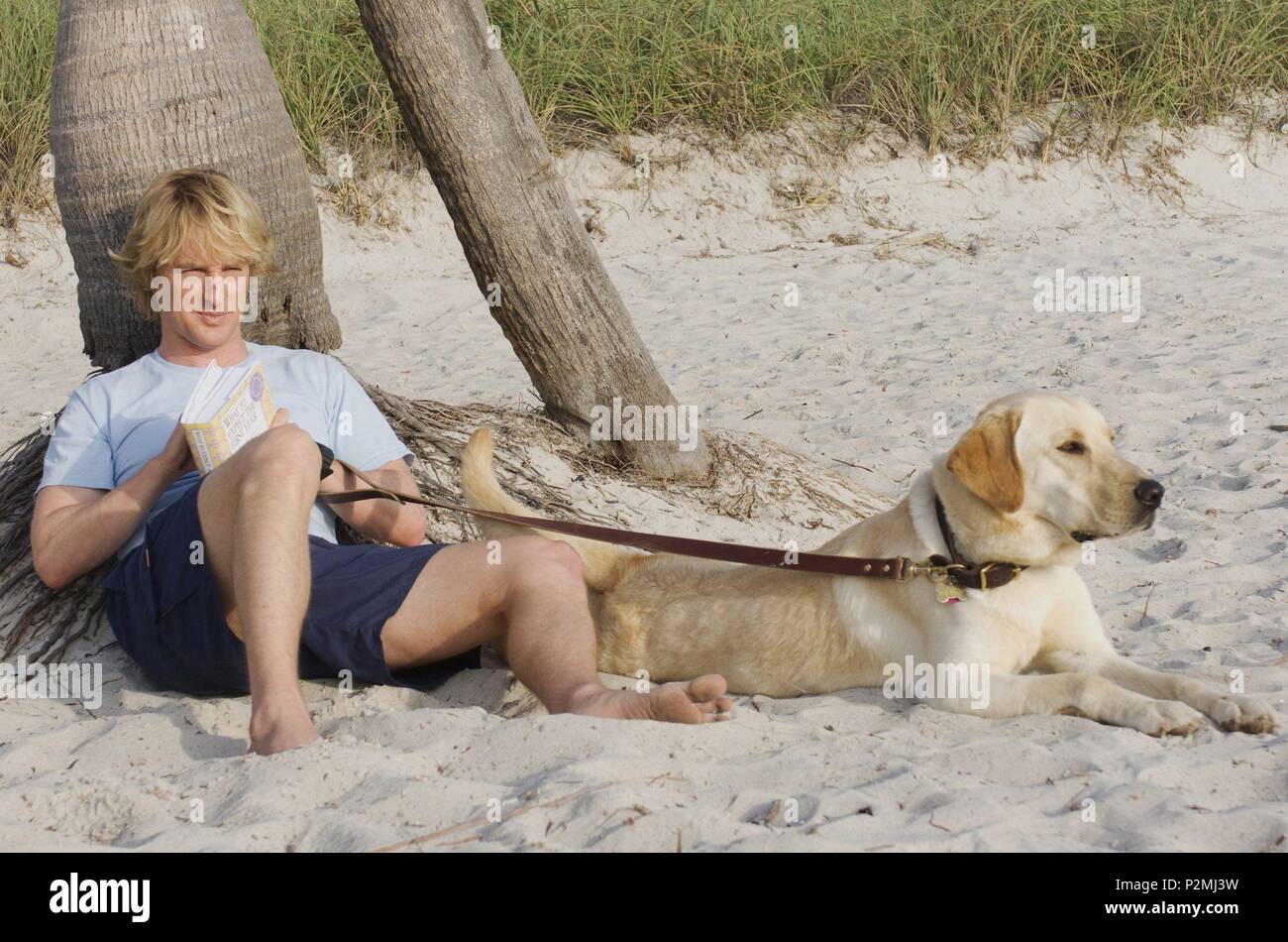 Original Film Title: MARLEY & ME. English Title: MARLEY & ME. Film Director: DAVID FRANKEL. Year ...