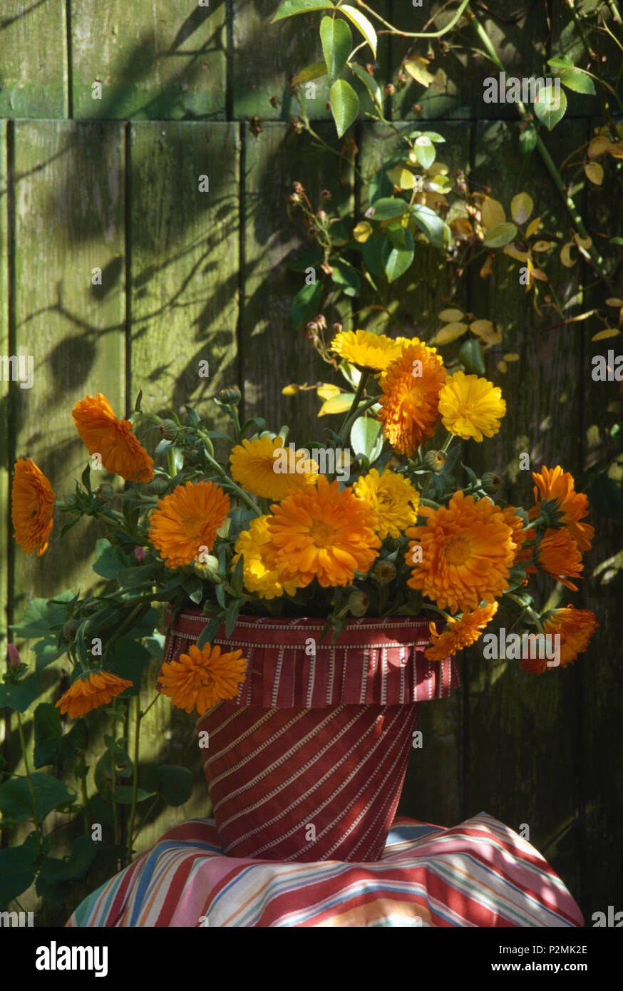 Pot marigolds hi-res stock photography and images - Alamy
