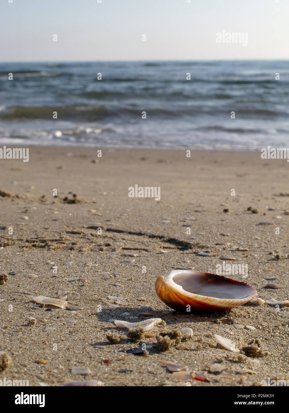 Empty shell overturned hi-res stock photography and images - Alamy