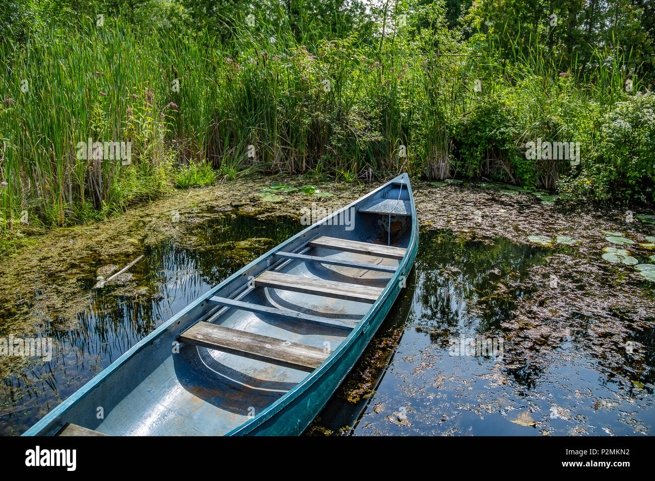 Empty Boat in an Abandoned Place, Pond with Bulrush, Reflection Stock ...