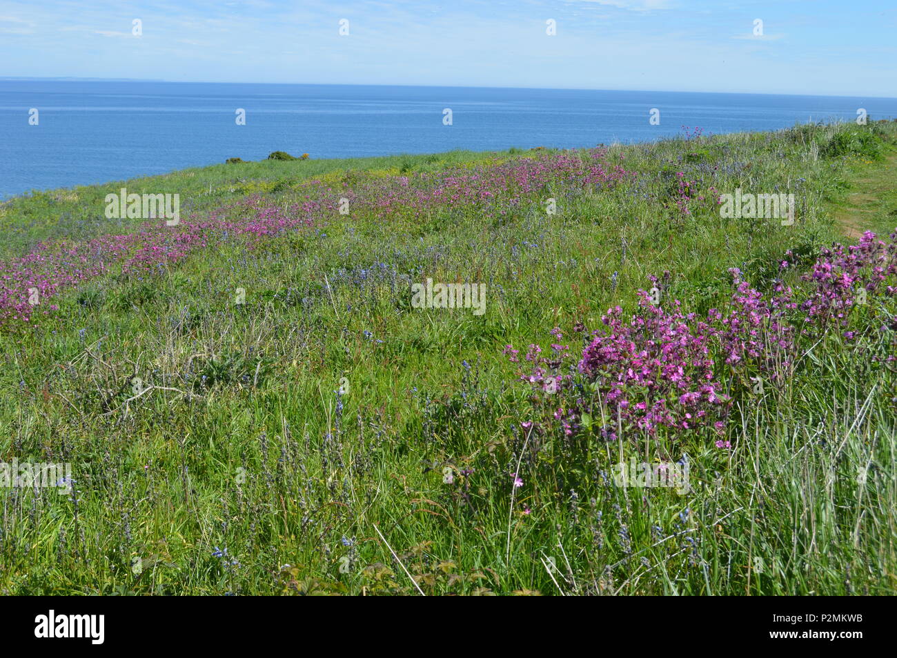 Kinkell hi-res stock photography and images - Alamy