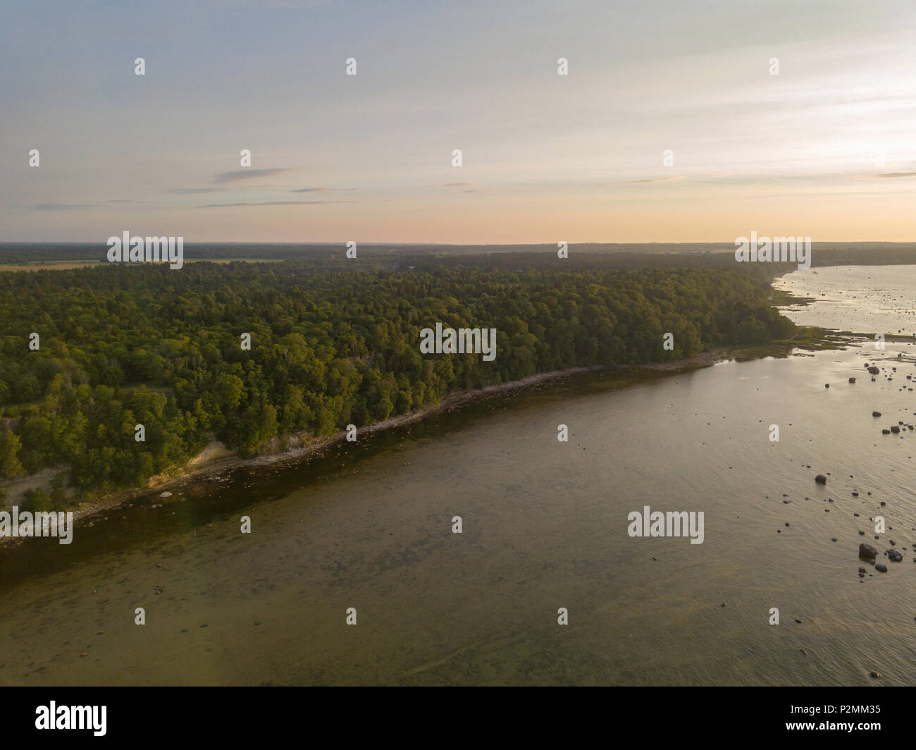 Aerial view to the Shoreline of Baltic sea beach Stock Photo - Alamy