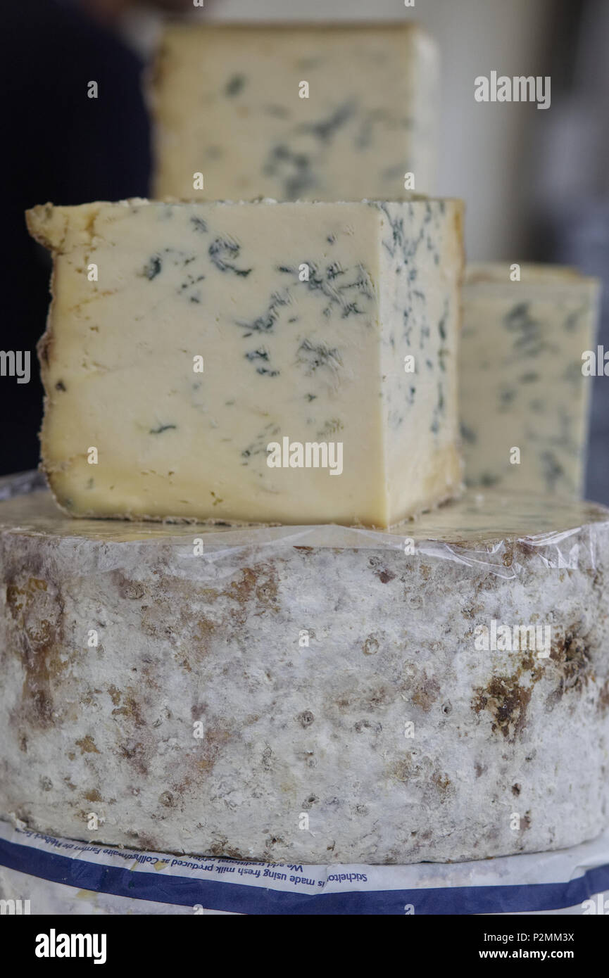 Stichelton a raw milk traditional English blue cheese for sale on a ...