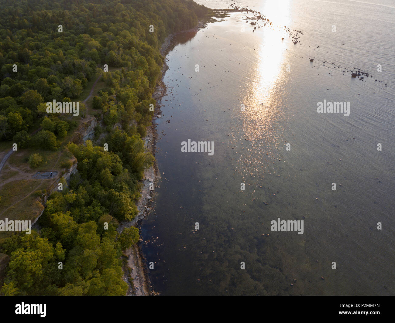 Aerial view to the Shoreline of Baltic sea beach Stock Photo - Alamy