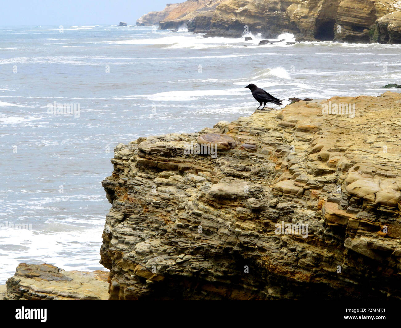 Black Bird on the Sedimentary Layers of a Pacific Coast Cliff on a Hazy ...
