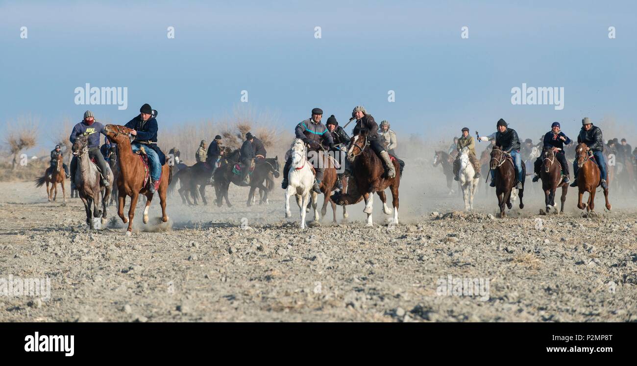 Uzbekistan, Samarcande area, Bouzkachi, the riders are fighting to get ...