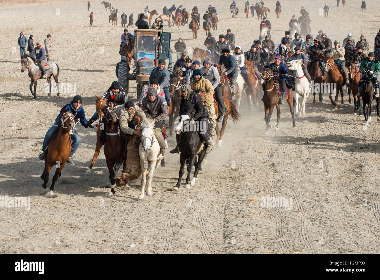 Uzbekistan, Samarcande area, Bouzkachi, the riders are fighting to get ...