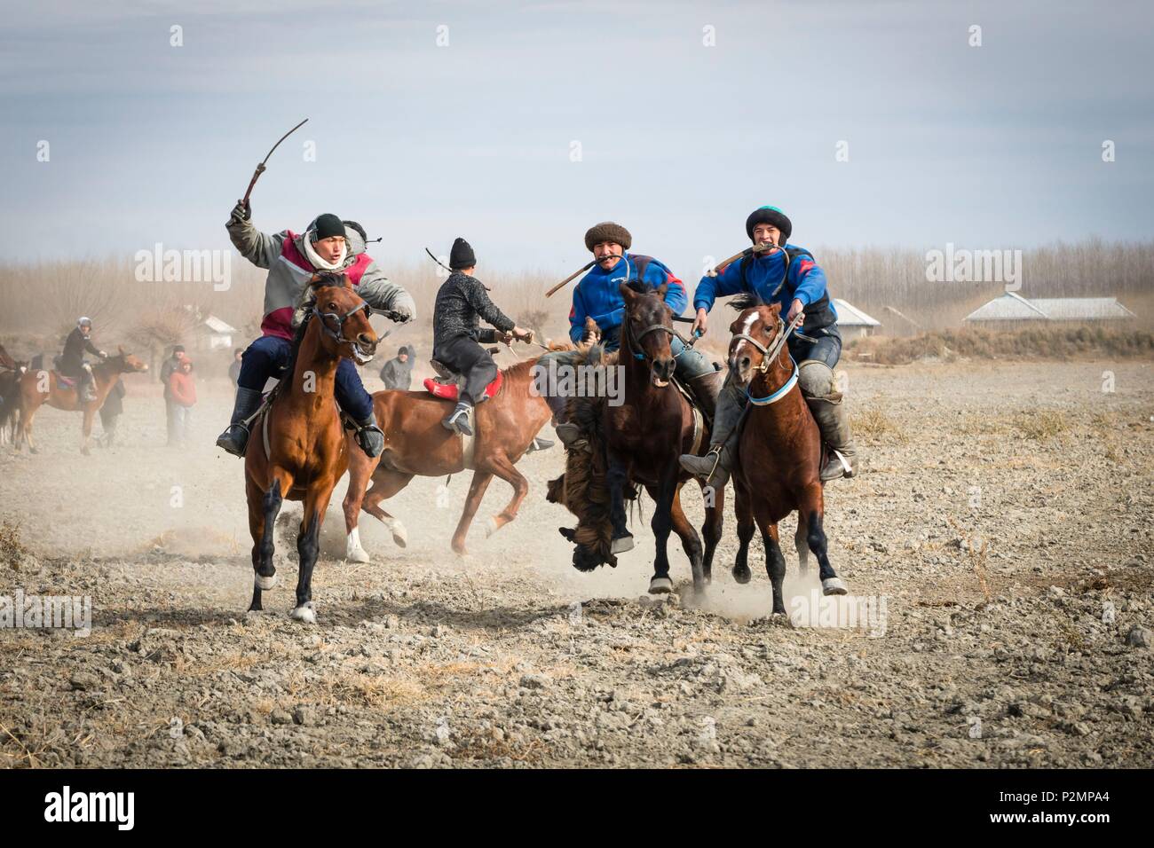 Uzbekistan, Samarcande area, Bouzkachi, the riders are fighting to get ...