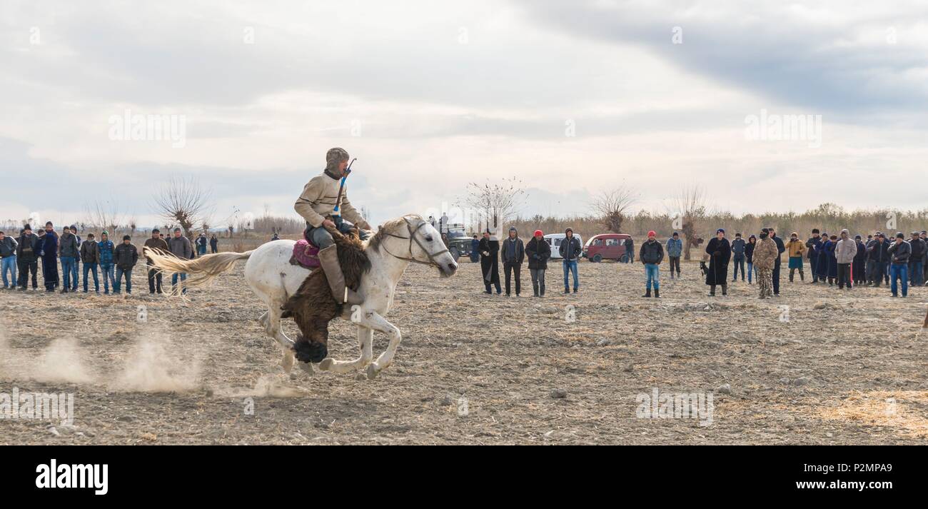 Uzbekistan, Samarcande area, Bouzkachi, the victorious rider gat back ...
