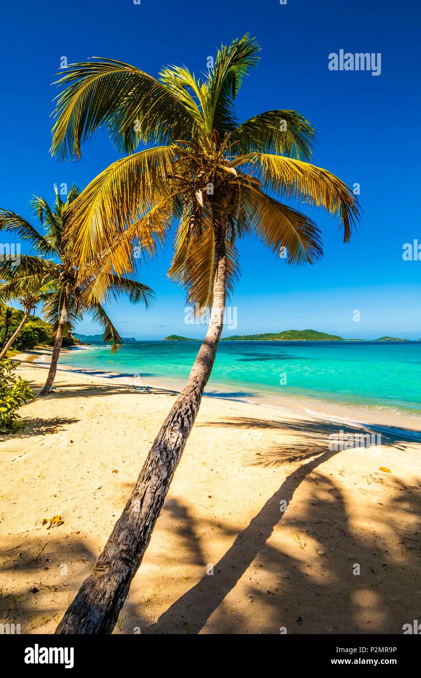 Petit saint vincent hi-res stock photography and images - Alamy