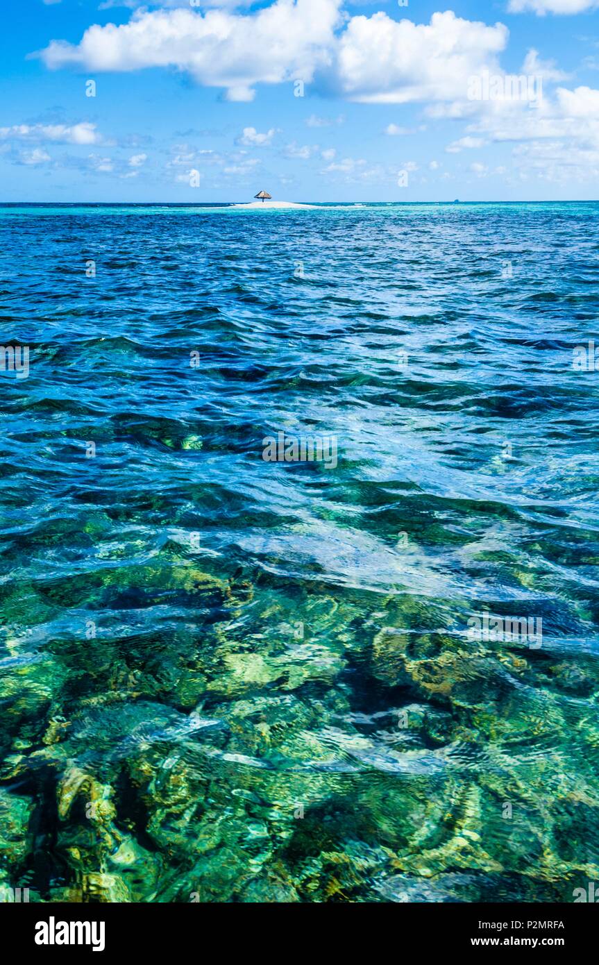 Tobago cays islet hi-res stock photography and images - Alamy