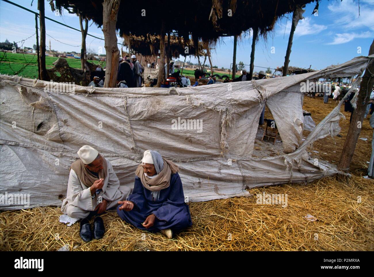 Egyptian Farmers High Resolution Stock Photography and Images - Alamy