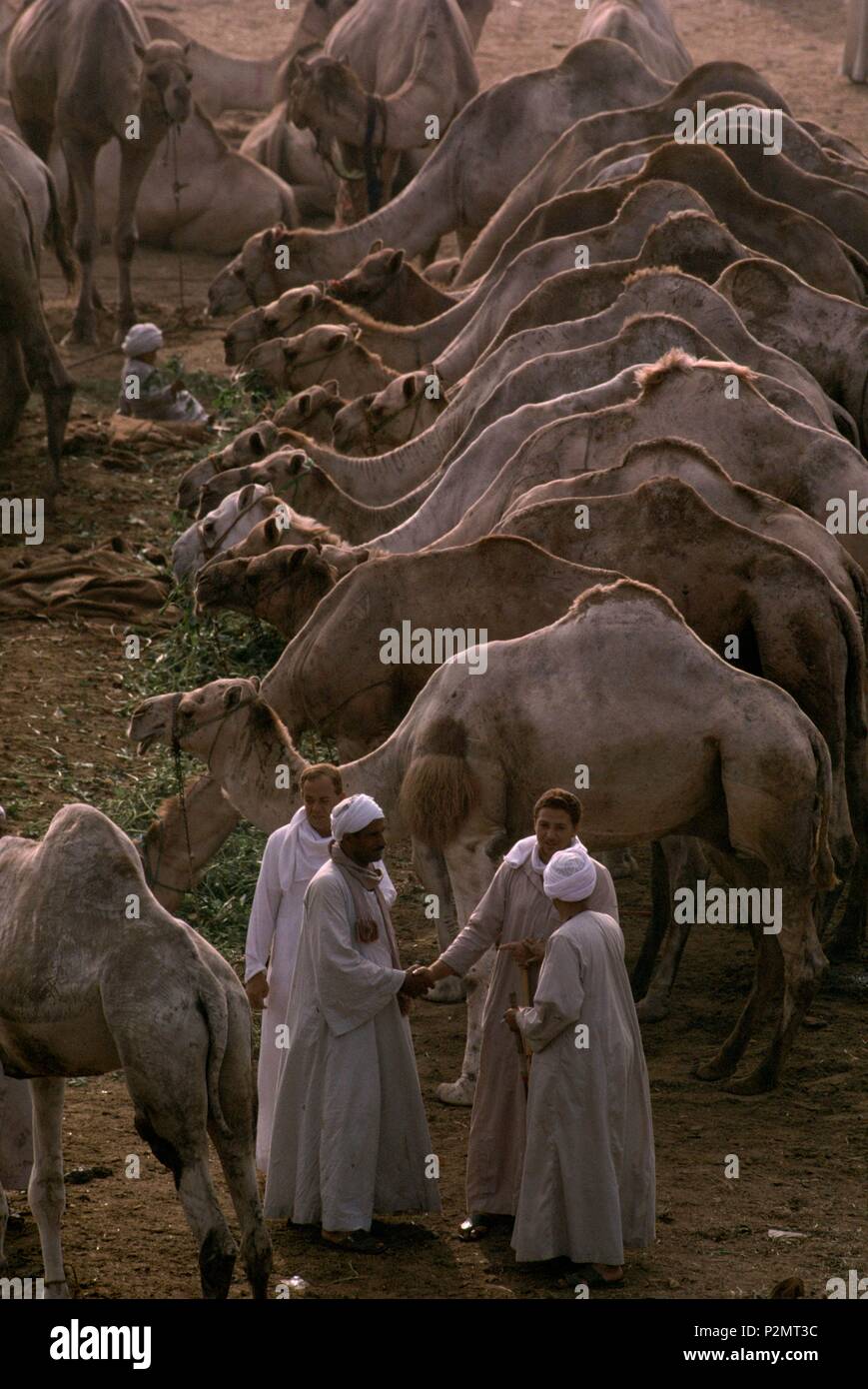 From cairo to mecca hi-res stock photography and images - Alamy