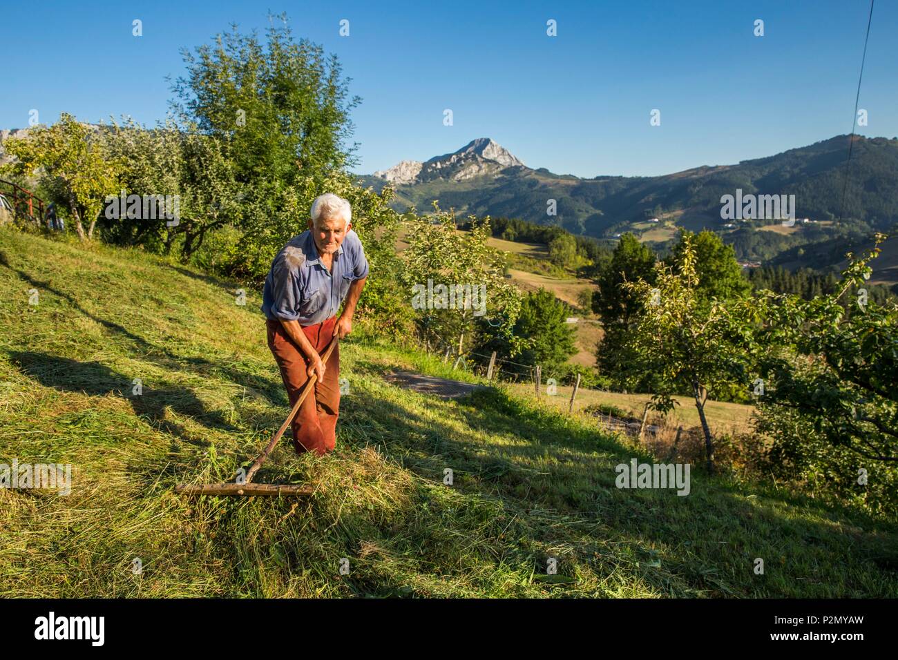 Farmer bask country hi-res stock photography and images - Alamy
