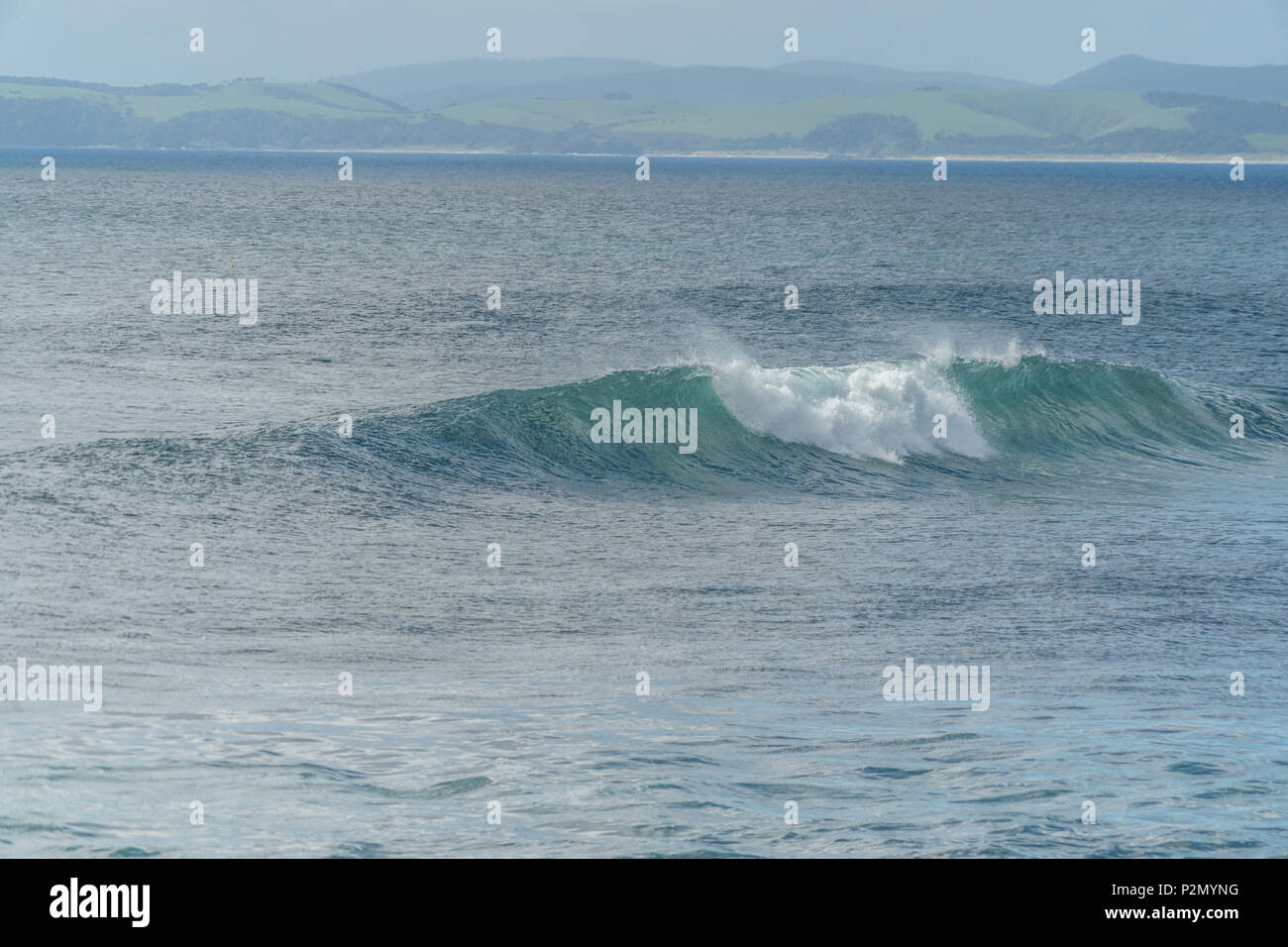 Leigh new zealand hi-res stock photography and images - Alamy