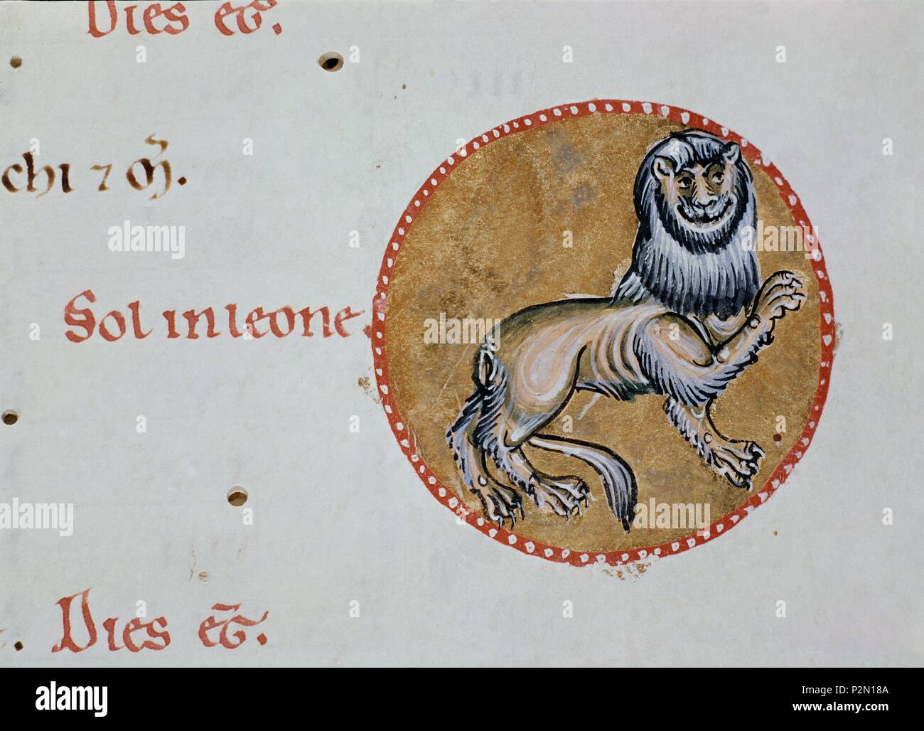 Signo leo del zodiaco hi-res stock photography and images - Alamy