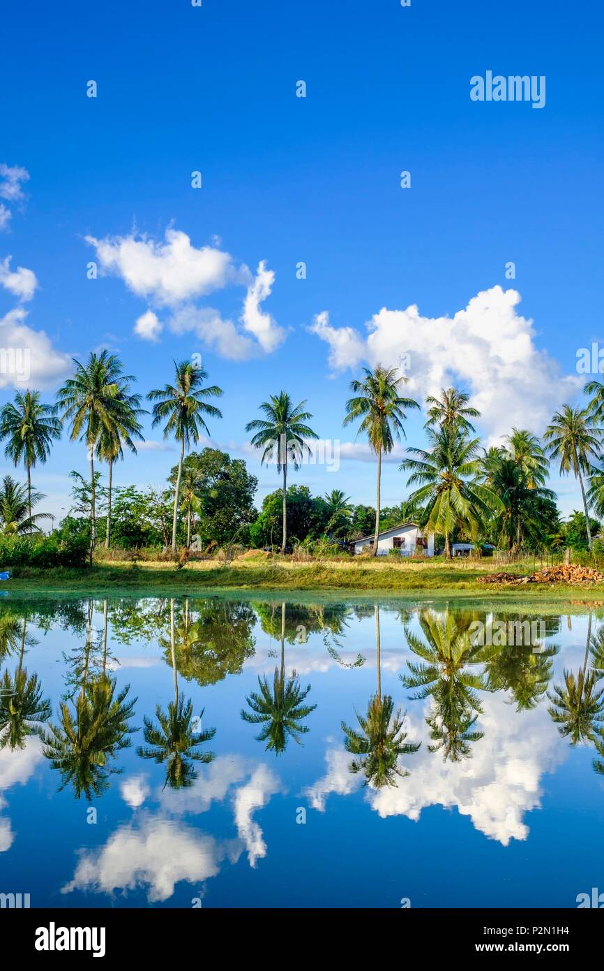 Thailand, Trang province, Ko Sukorn island, surroundings of Ban Tung ...