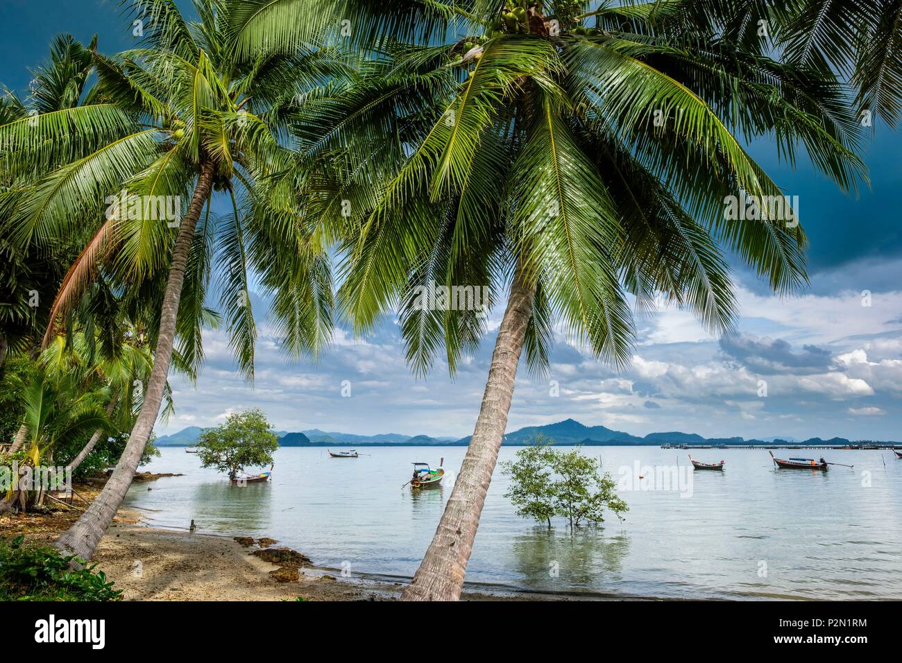 Thailand, Trang province, Ko Mook island, eastern coast Stock Photo - Alamy