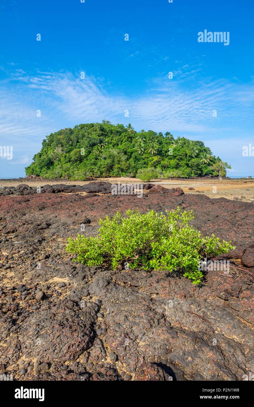 Thailand, Trang province, Ko Libong island, islet facing Haad Kao Lang ...