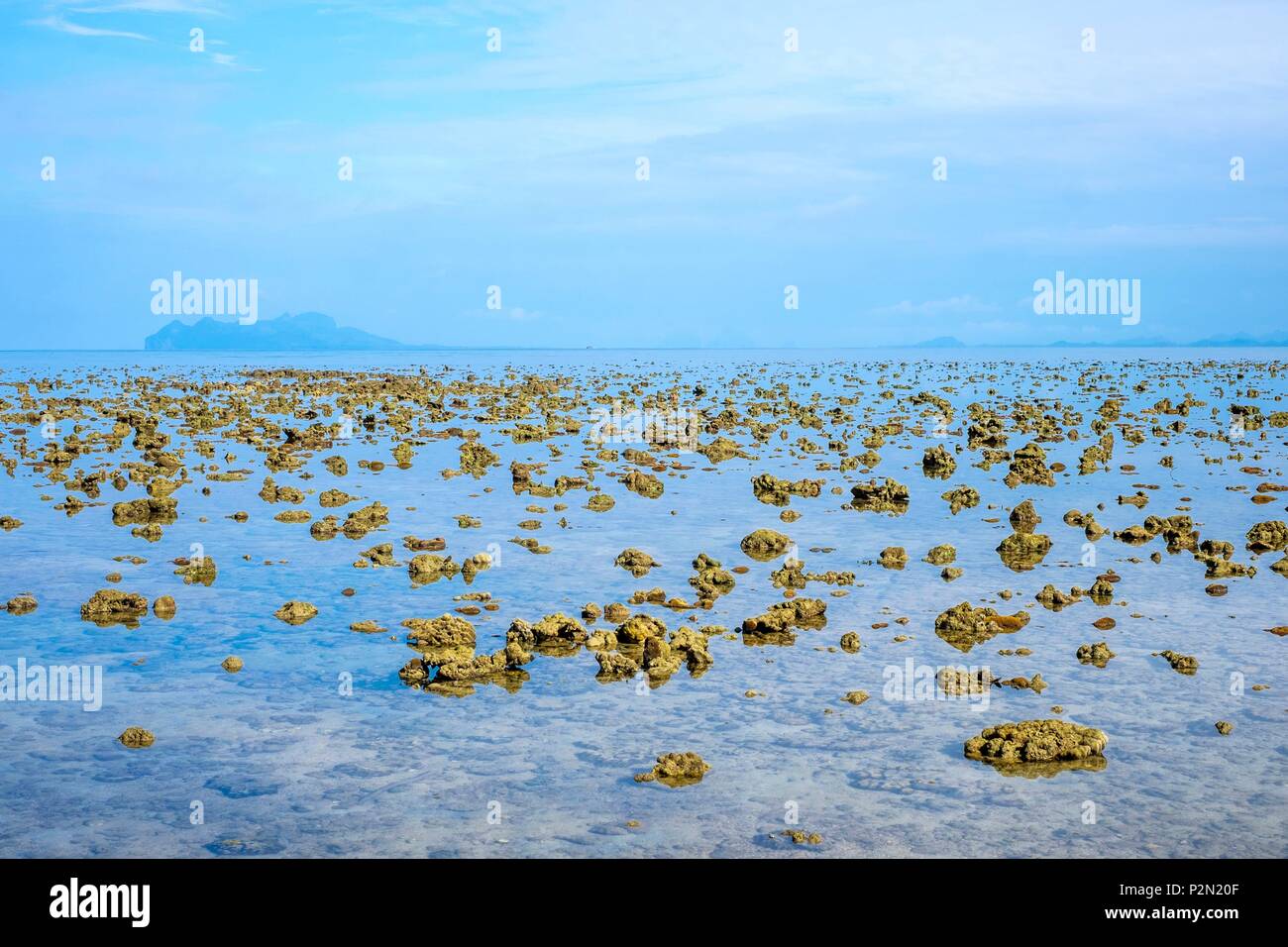 Thailand, Trang province, Ko Libong island, low tide Stock Photo - Alamy