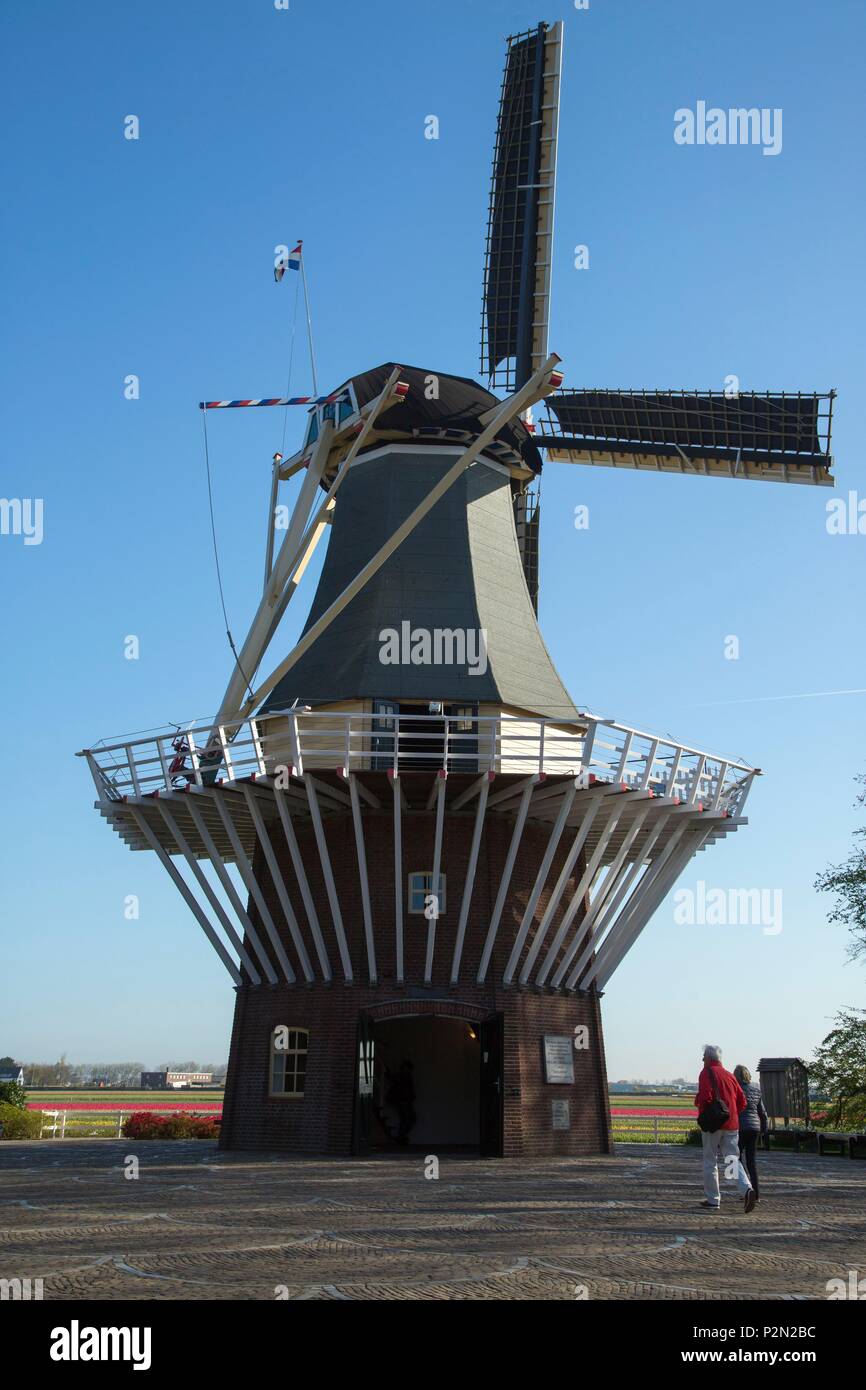 Lisse dutch hi-res stock photography and images - Alamy