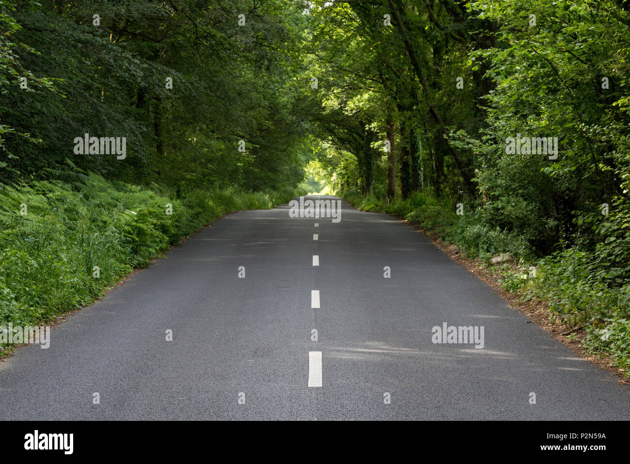Road lined with white line on both sides hi-res stock photography and ...