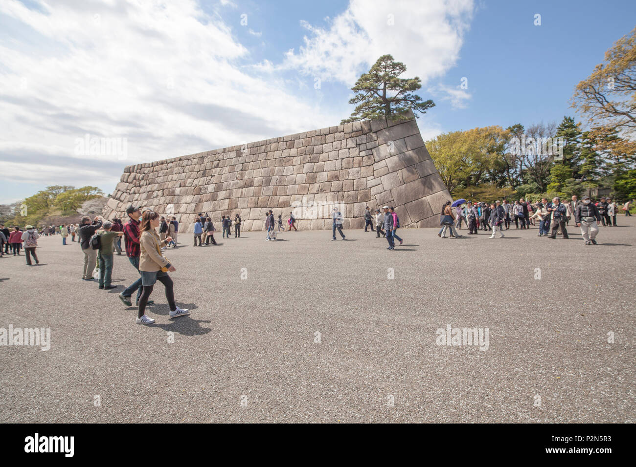 Wall of former Castle of Edo with trees and visitors, Chiyoda-ku, Tokyo ...