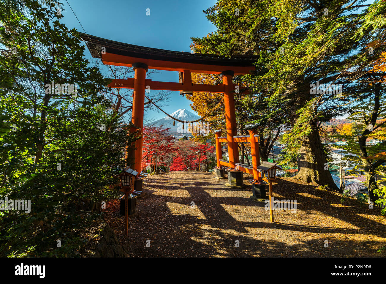 Torii with Mt. Fuji at Arakurayama Sengen Park, Fujiyoshida, Yamanashi ...