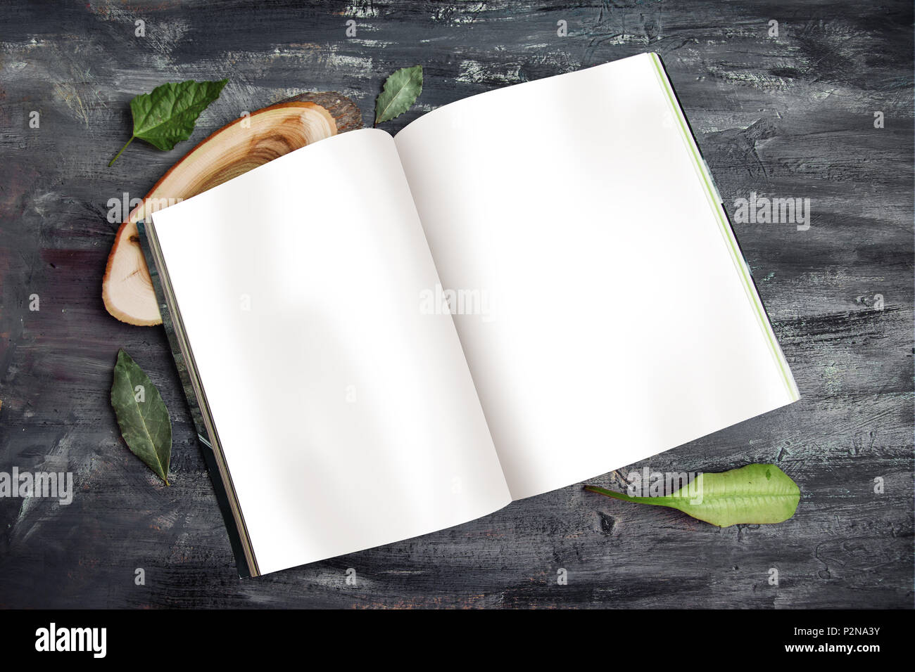 Book Pages Background Design