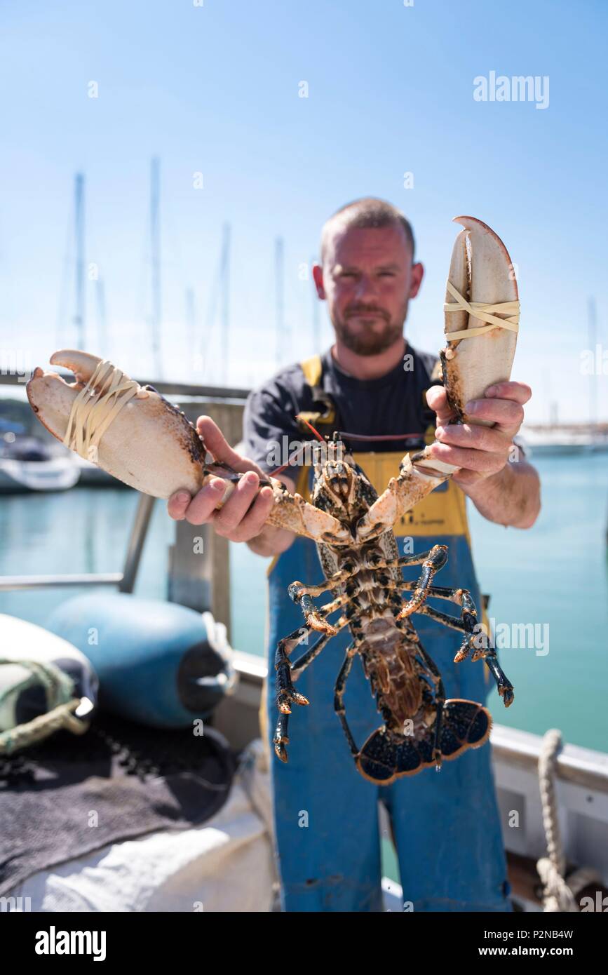 Lobster fisherman port man hi-res stock photography and images - Alamy