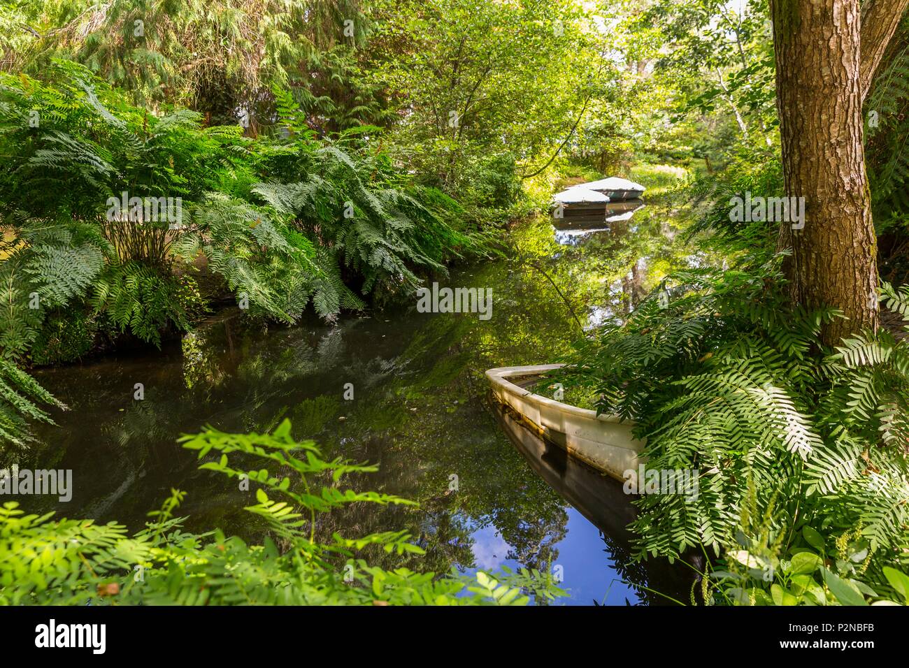 France, Landes, Seignosse, a canal Stock Photo - Alamy