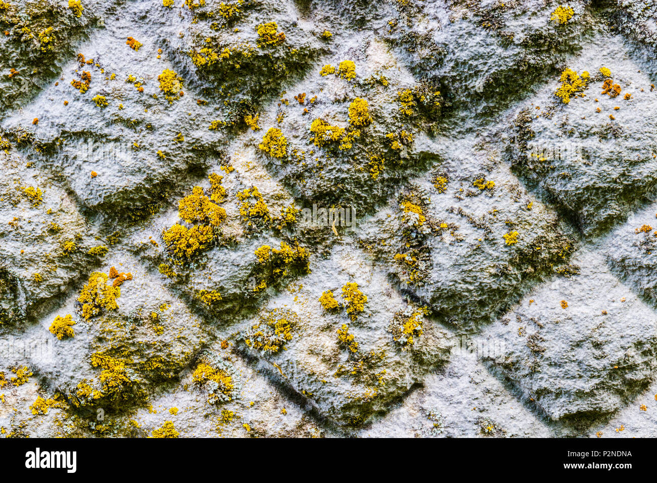 Patterned cemetery headstone for background. Highlighted with orange ...