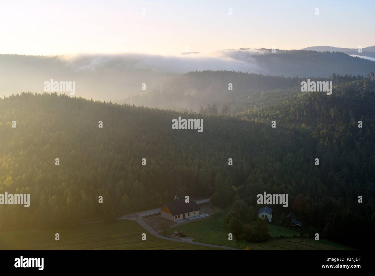 France moselle dabo forest hi-res stock photography and images - Alamy