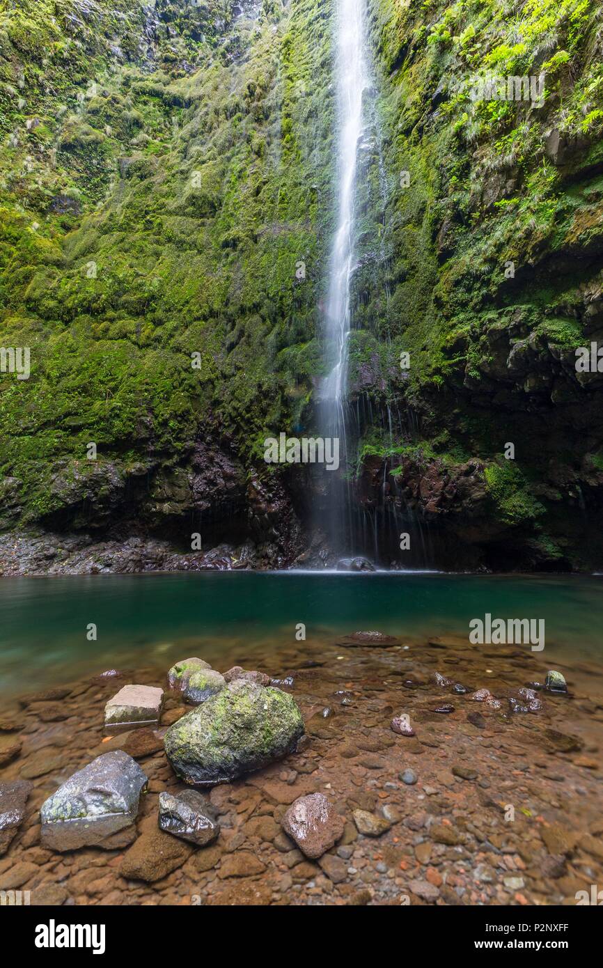 Portugal, Madeira Island, Caldeirao Verde and Caldeirao do Inferno in ...