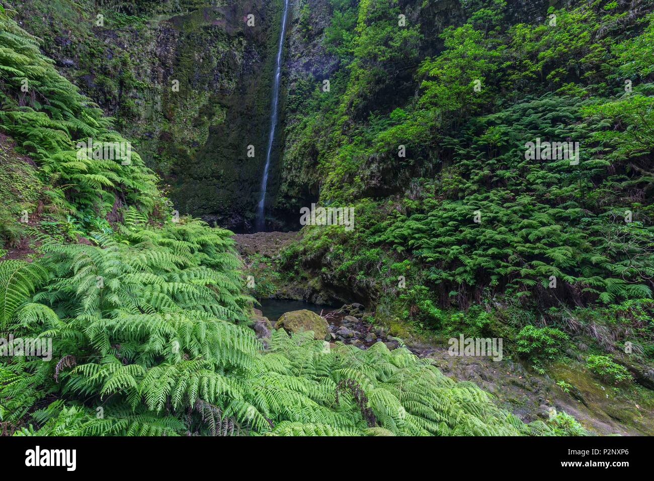 Portugal, Madeira Island, Caldeirao Verde and Caldeirao do Inferno in ...