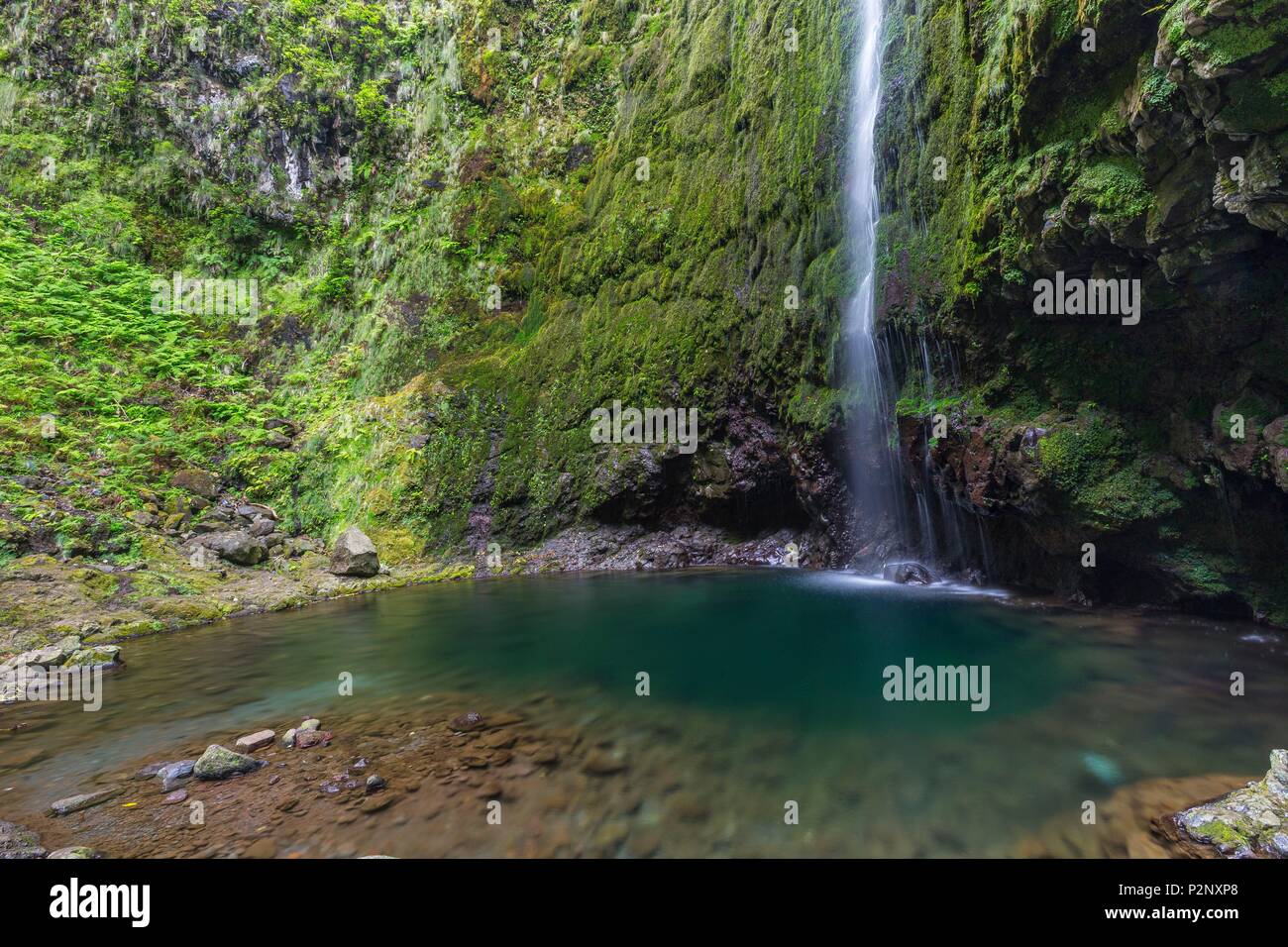 Portugal, Madeira Island, Caldeirao Verde and Caldeirao do Inferno in ...