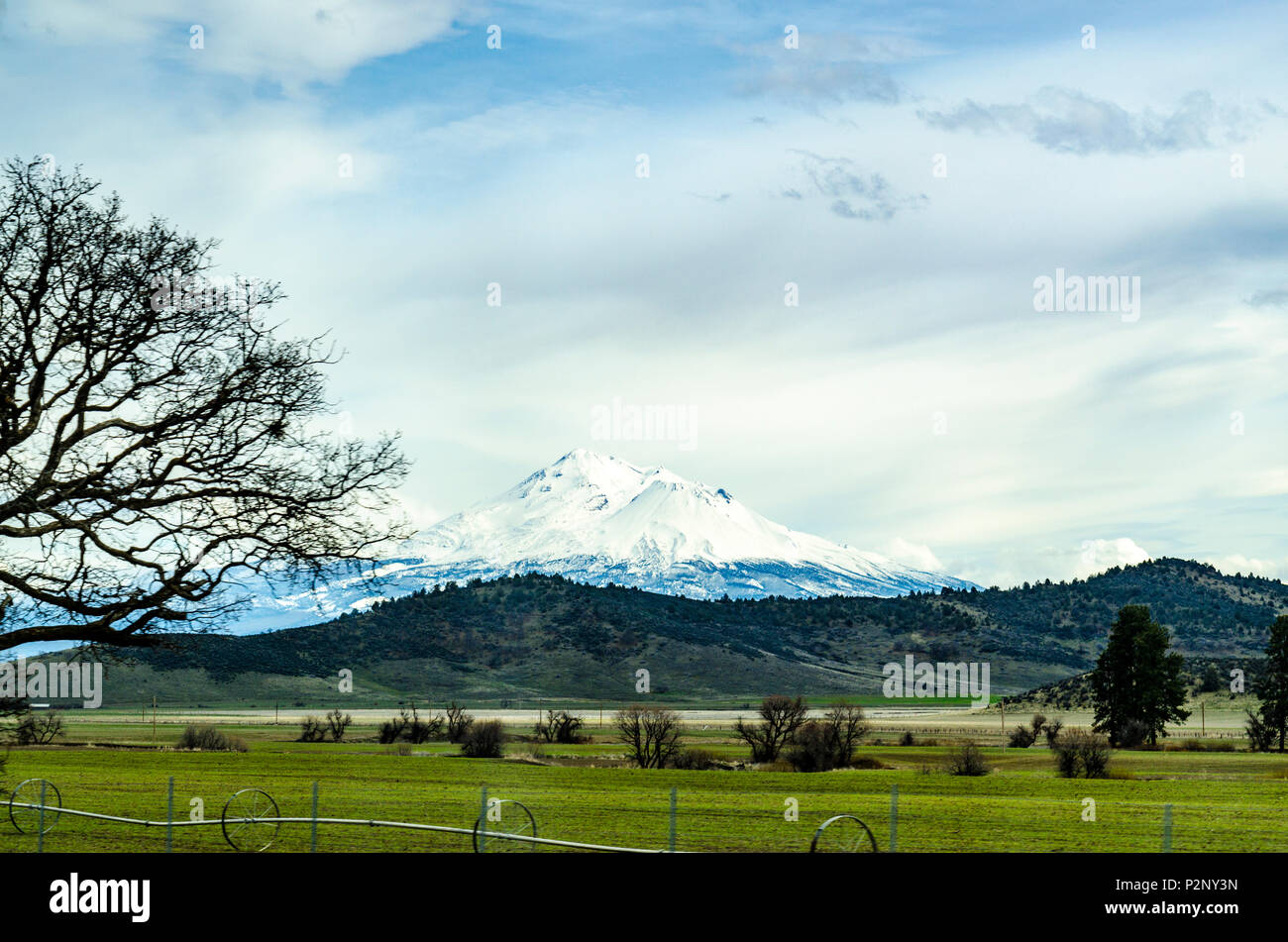 Mount Shasta in the Cascade range of Northern California USA Stock ...