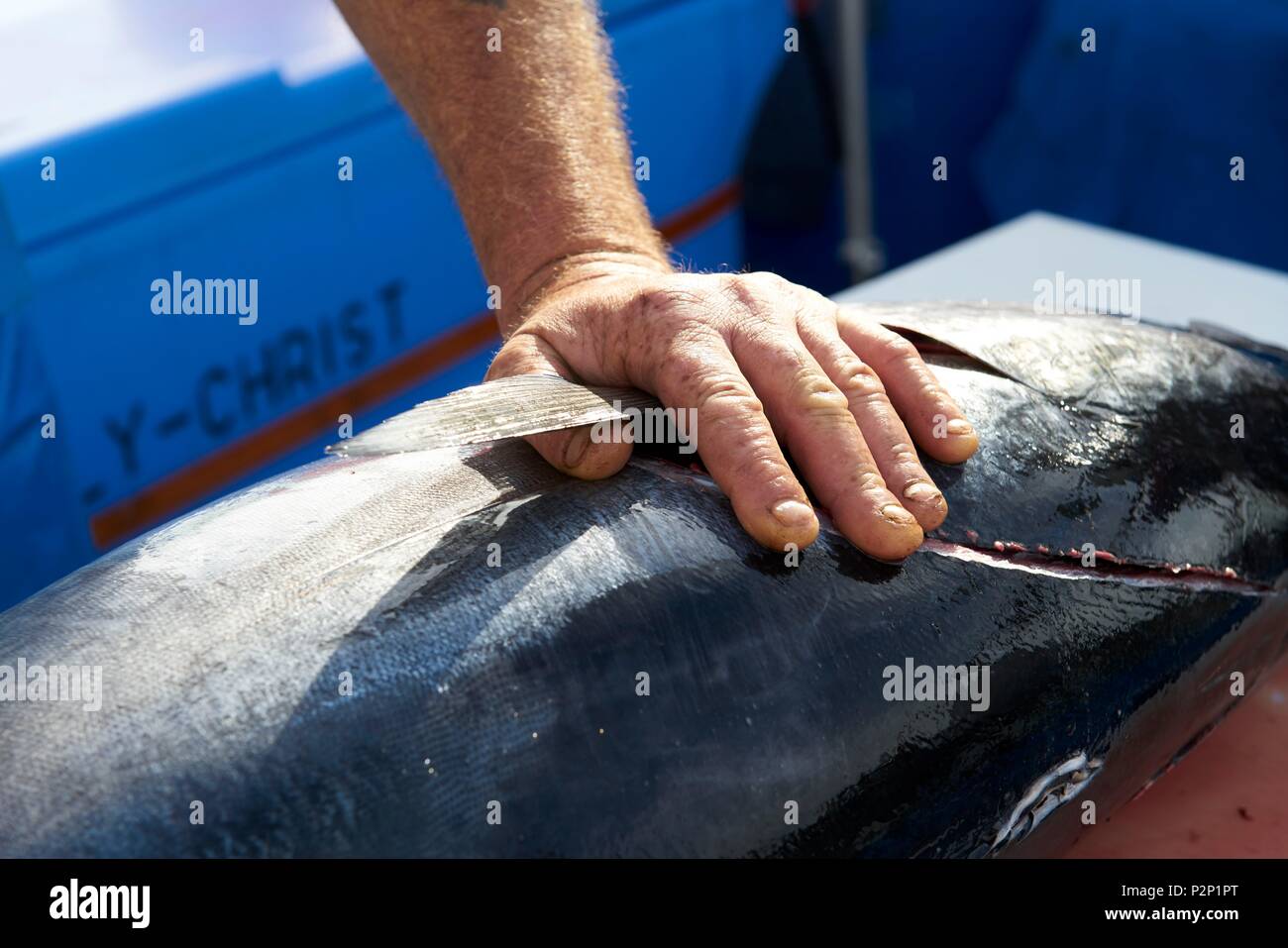 Longline Tuna Fishing High Resolution Stock Photography and Images - Alamy
